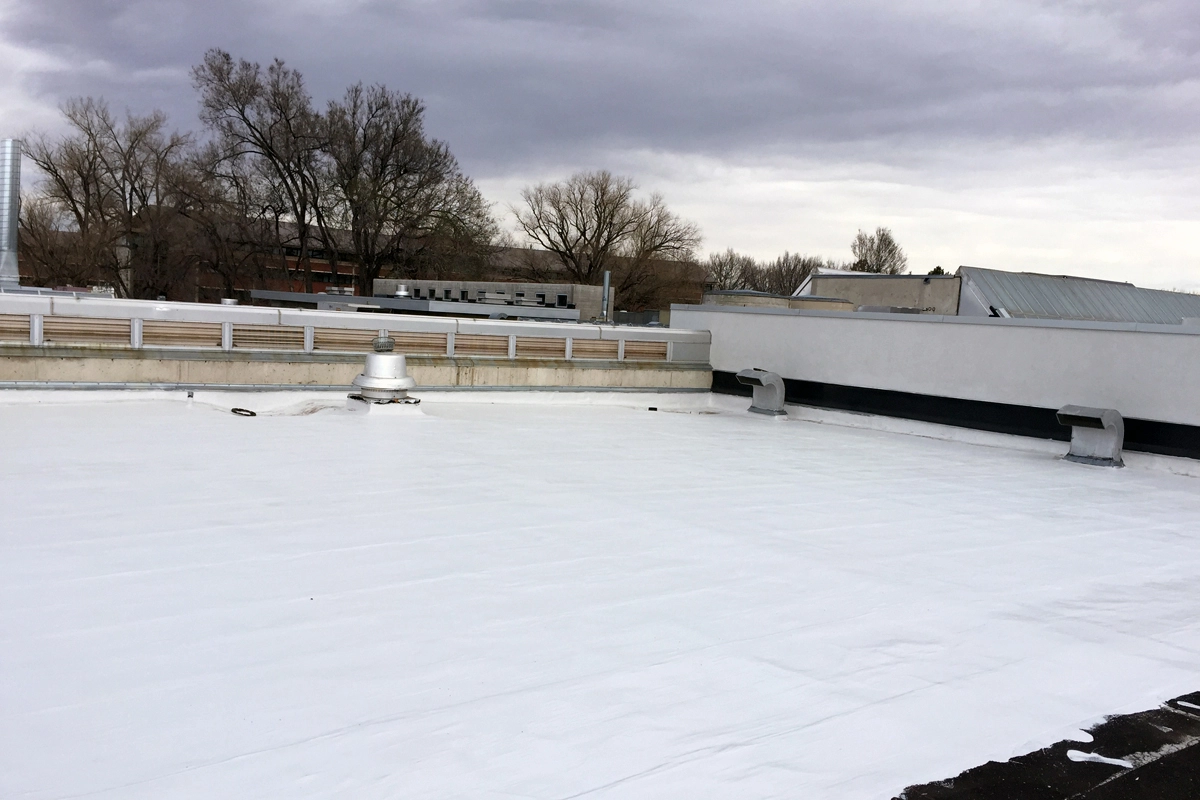 AlphaGuard® PUMA Base Coat | Tremco